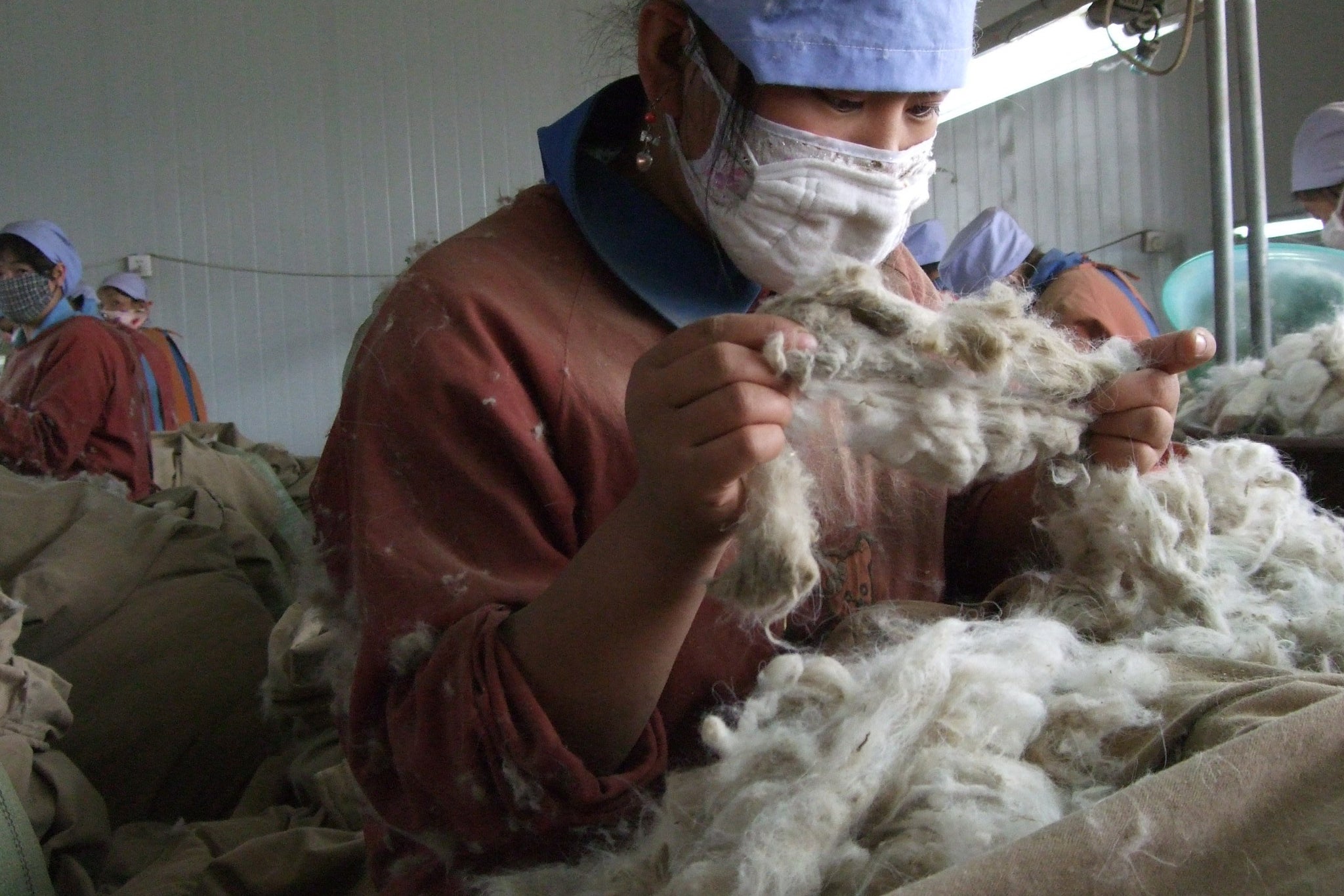 Sorting of dirt and hair A steady but important process that creates
